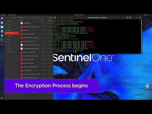 Ransomware on Linux - RansomEXX VS SentinelOne - Detect Mode ...